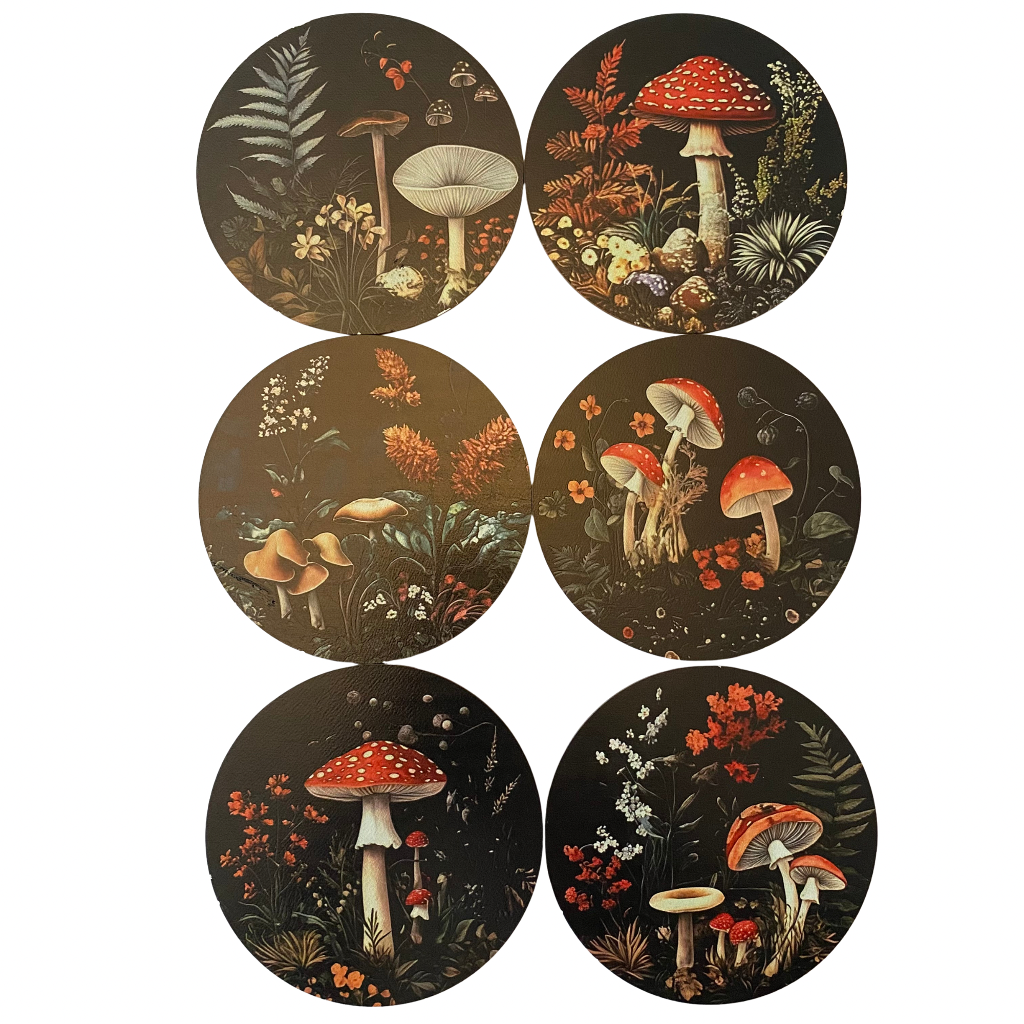 Mushroom Coasters 6 pack – Bird And Bear Shop